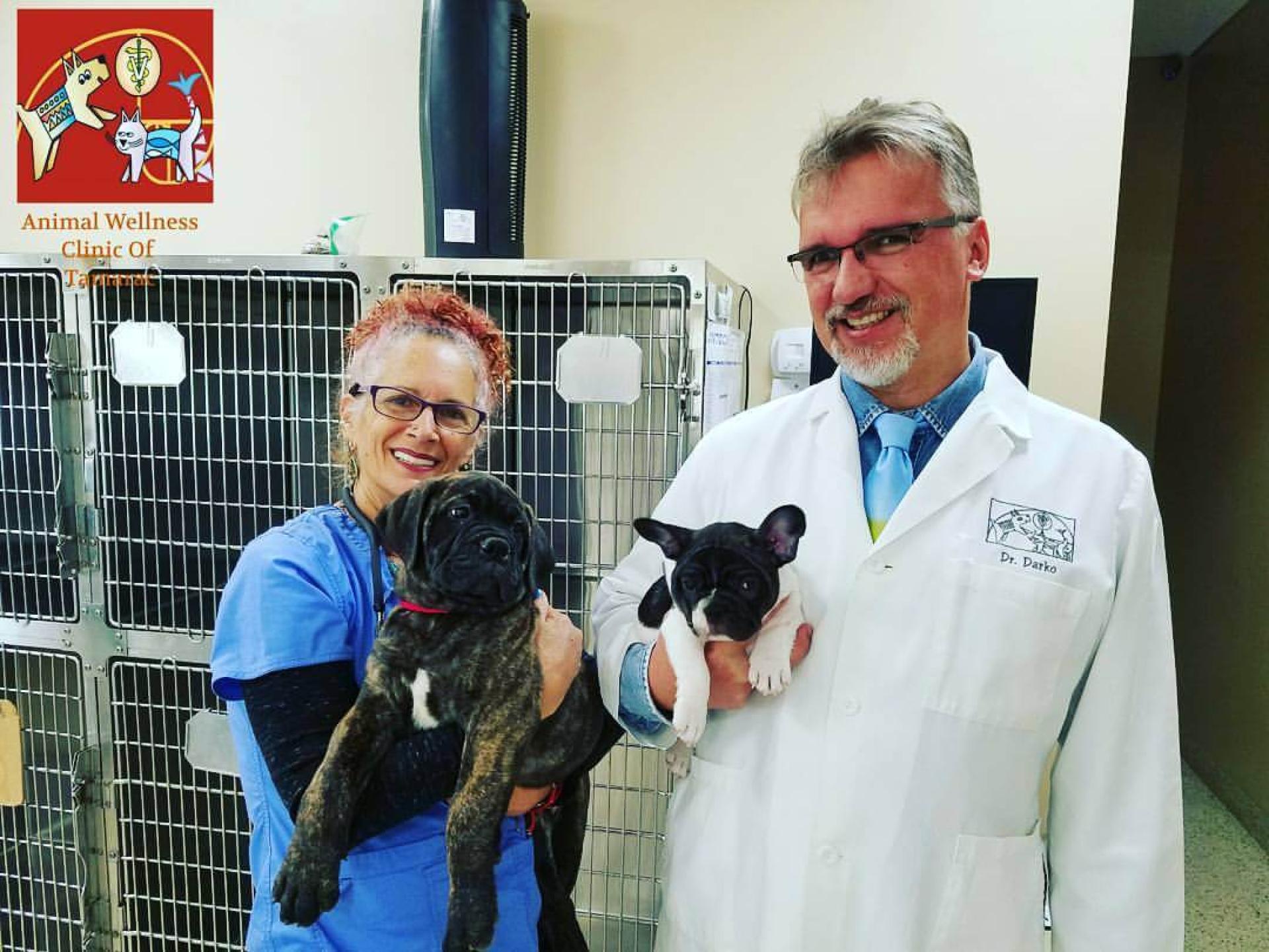 Dr. Darko and Vered | Animal Wellness Clinic of Tamarac